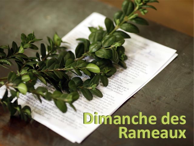 Le dimanche des Rameaux - Pôle Missionnaire Catholique de Fontainebleau